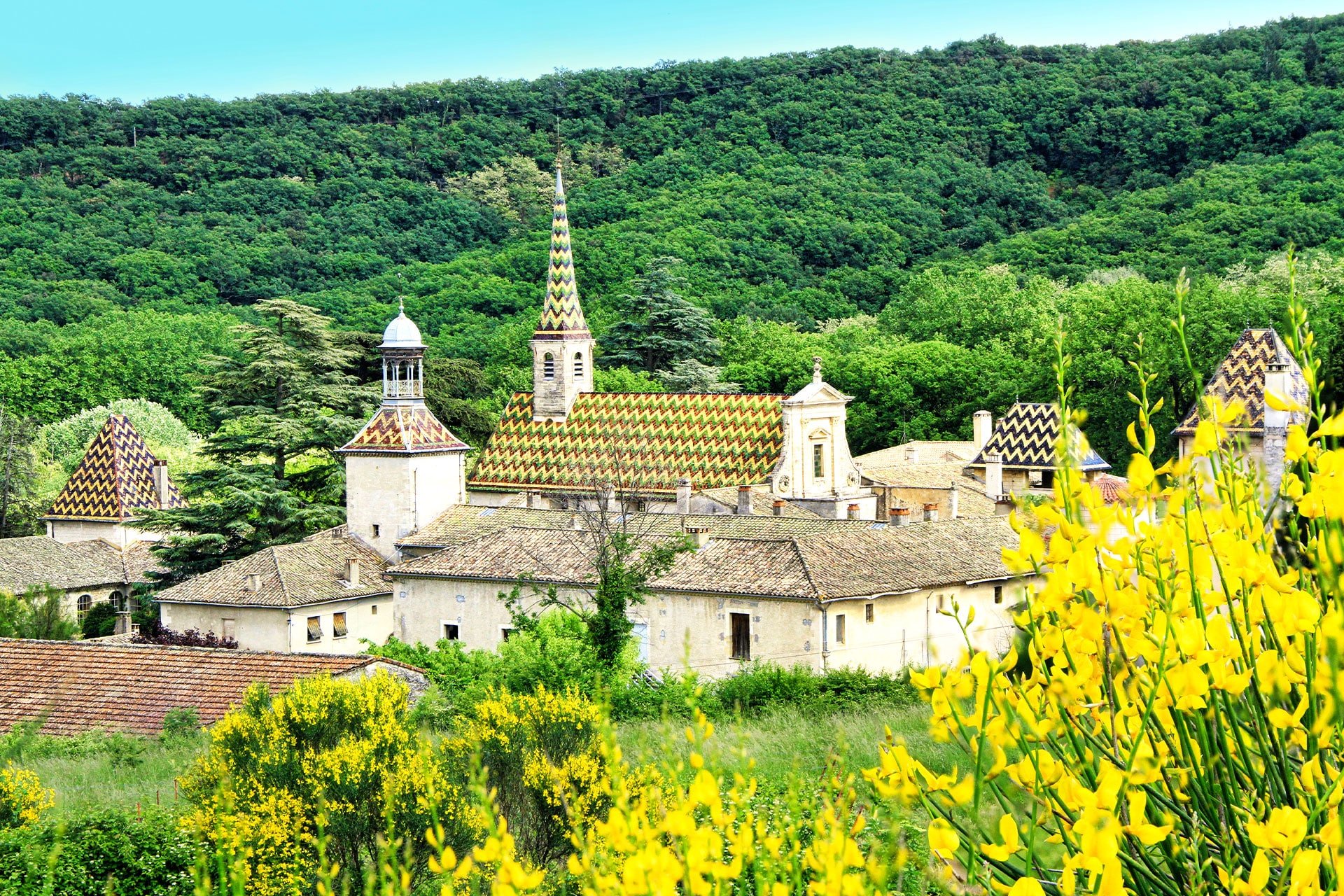 The Charterhouse of Valbonne | petitbois